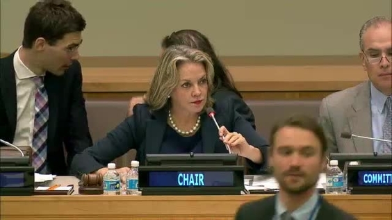 Third Committee, 2nd meeting - 71st General Assembly | UN Web TV