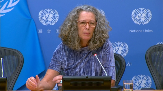 Press Briefing by Resident and Humanitarian Coordinator in Ukraine | UN Web TV