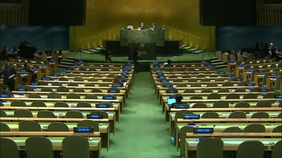 General Assembly, 47th plenary meeting, 71st session | UN Web TV