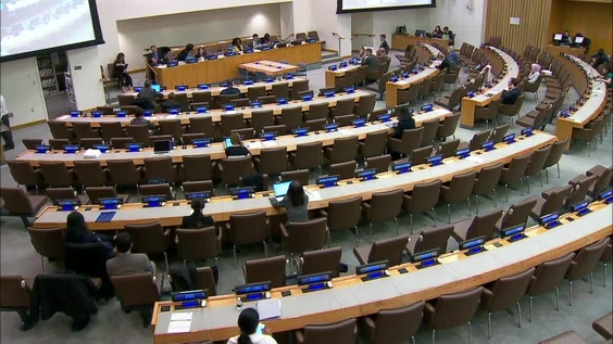Third Committee, 35th meeting - General Assembly, 74th session | UN Web TV