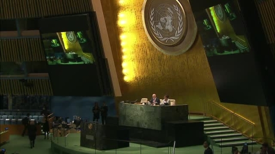 General Assembly, 63rd plenary meeting, 71st Session | UN Web TV