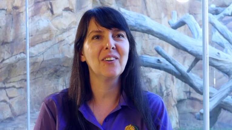 Zoo and Aquarium Curators and Directors Job Description, Duties ...