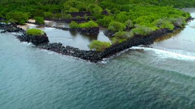 Films Media Group - Episode 1: Fortress of the Knights Templar (Lost ...