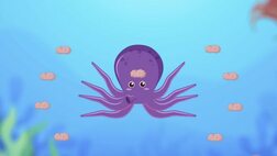 Films Media Group - Octopus Facts for Kids (High Five Facts, Season 1)