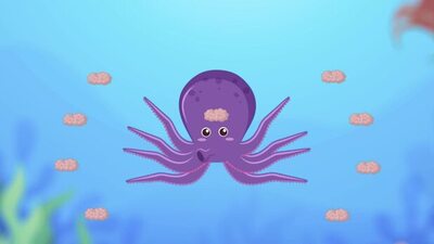 Films Media Group - Octopus Facts for Kids (High Five Facts, Season 1)