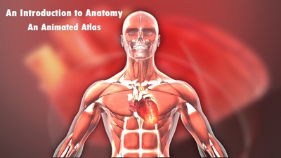 Films Media Group - An Introduction to Anatomy: An Animated Atlas