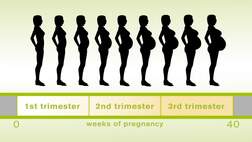 Films Media Group - Understanding Pregnancy (2020 Version): Fetal ...