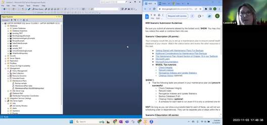 W08 Scenario_Cassandra Risner