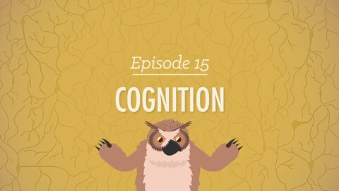 Cognition - How Your Mind Can Amaze and Betray You: Crash Course ...
