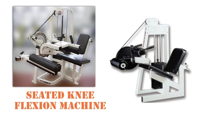 Seated Knee Flexion Machine