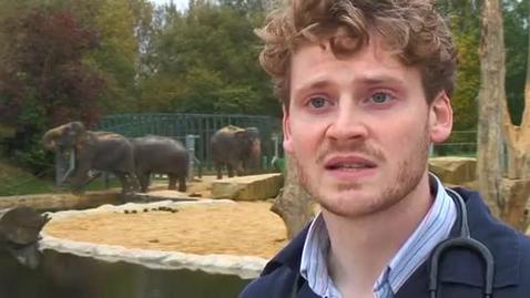 Medicine and Health Sciences - MediaSpace - The University of Nottingham