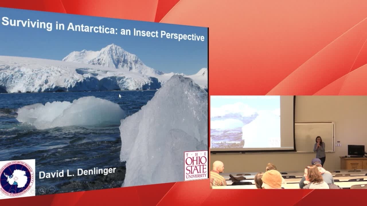 Dr. David Denlinger - Surviving in Antarctica: An Insect Perspective