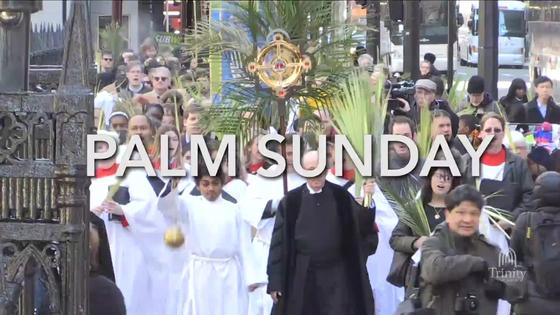 Holy Week Explained: Palm Sunday