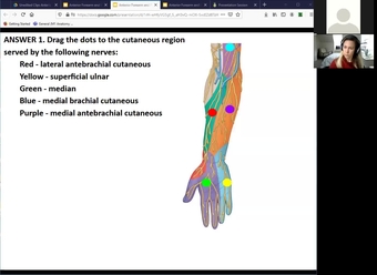 Dermatomes Arm Hand Anatomy