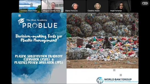 Blue Academy | Decision-making Tools for Plastics Management: Plastics Policy Simulator ...