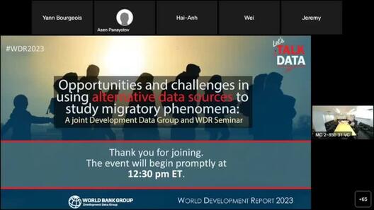 Opportunities and Challenges Using Alternative Data Sources to Study Migratory Phenomena