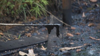 A 25-year legal battle over oil pollution in Ecuador’s Amazon rainforest
