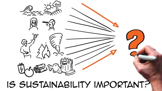 Why is sustainability important? A tip to explain it