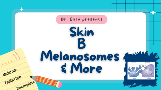 6 Skin B Melanosomes and more