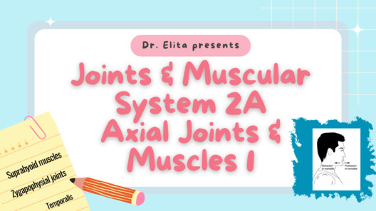 12 Joints and the Muscular System 2A Axial Joints and Muscles Part 1