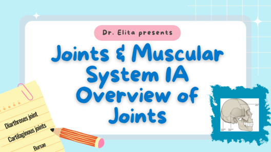 11 Joints and the Muscular System 1A Overview of Joints