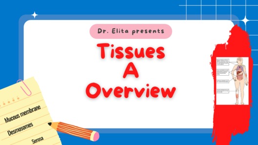 5 Tissues A Overview