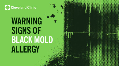 black mold caused by