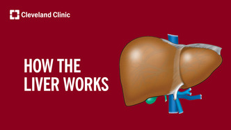 how to make your liver feel better