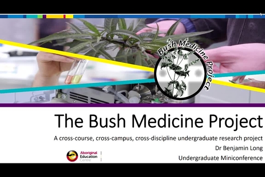 Bush Medicine Project Debrief 2019