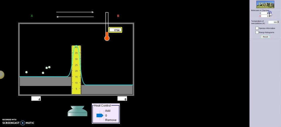 Reaction Rates Discussion