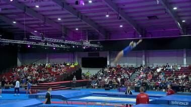 Video Vault - Homepage