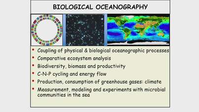 biological oceanography course