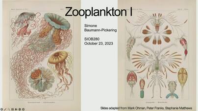 biological oceanography course