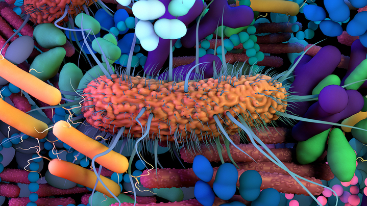 Penn State MediaSpace