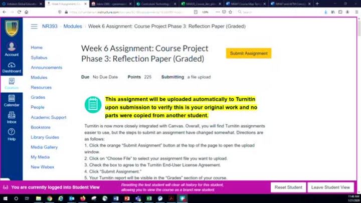 NR393 Course Project Phase 3: Reflection Paper Tutorial