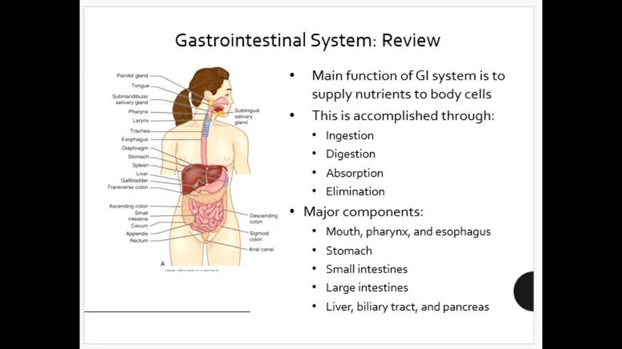 GI Overview and Dysphagia