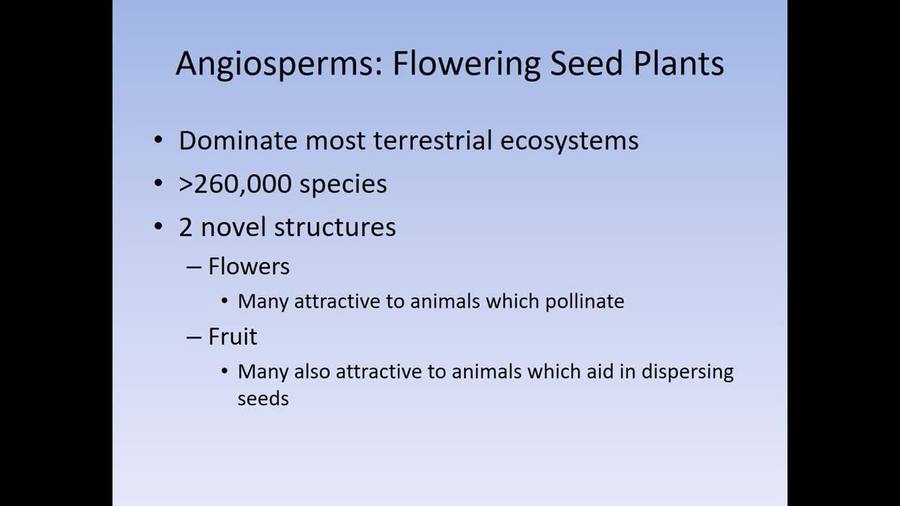 BIOL 105 12.4 Seed Plants - Angiosperm Flowers