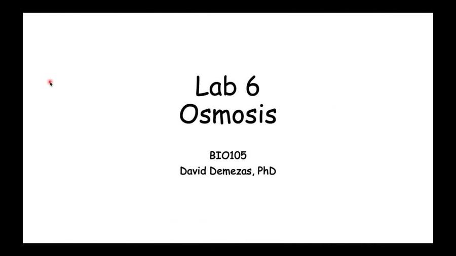 Osmosis lab_Introductory Powerpoint