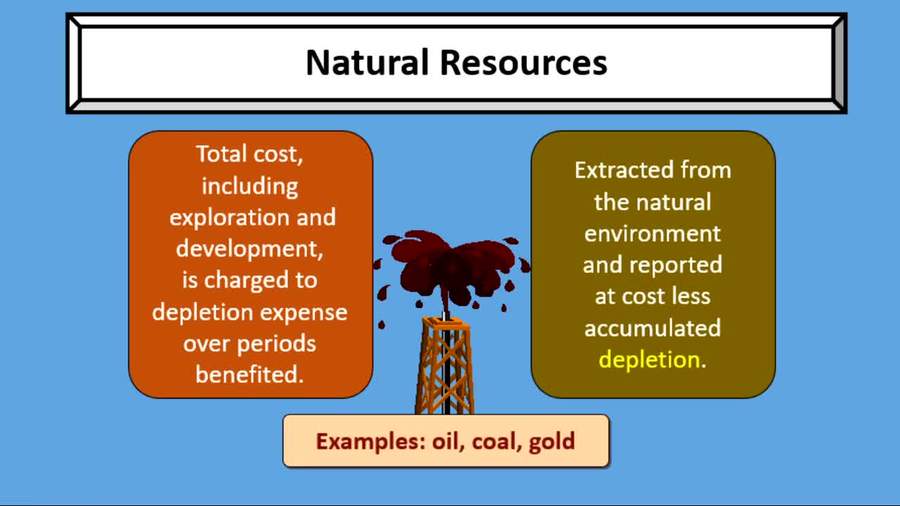 Plant Assets, Natural Resources and Intangibles