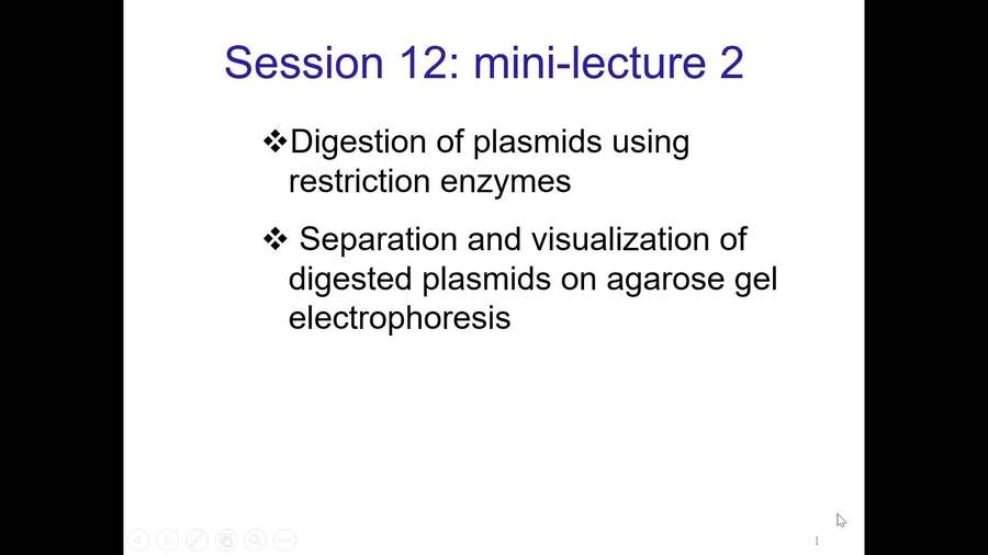 Mini-lecture 2_Session 12