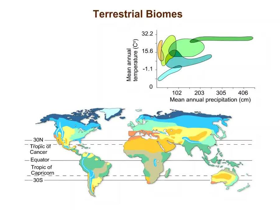 Terrestrial_biome