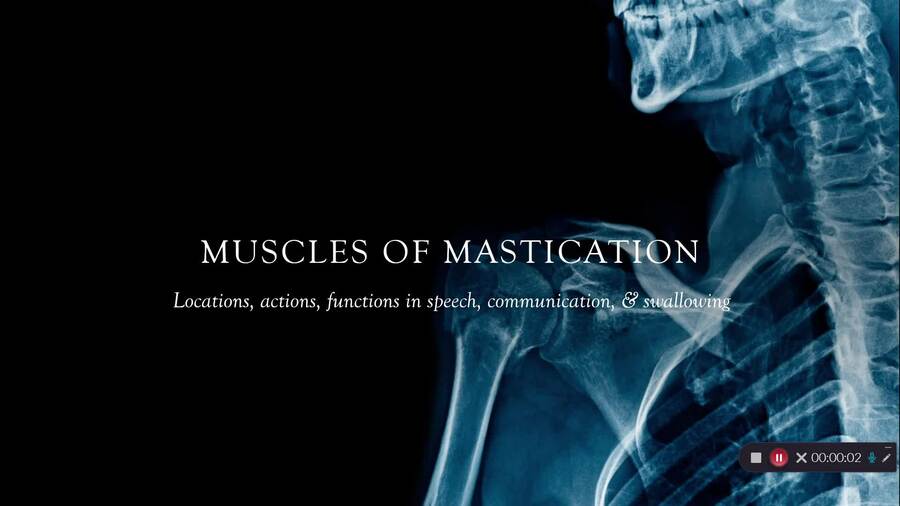 Muscles of mastication - speech, communication, and biological functions