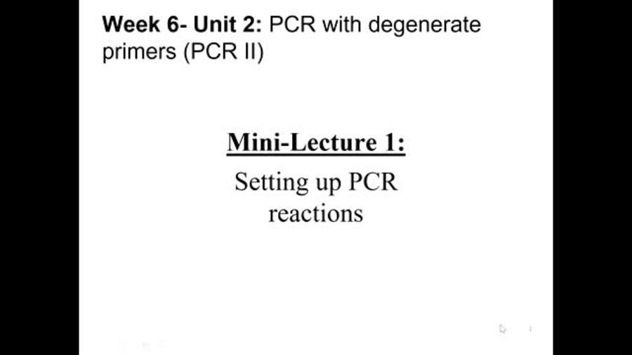 Week 6- Unit 2: Mini-Lecture 1_Setting up PCR reactions