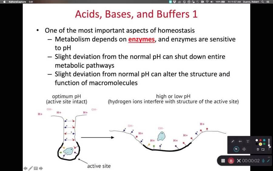 BIOL 314 Acids, Bases, & Buffers (Ch 24 Part 2)