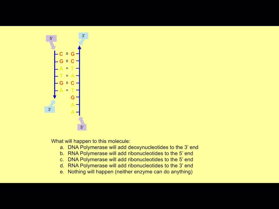 Lecture 17 - Problems