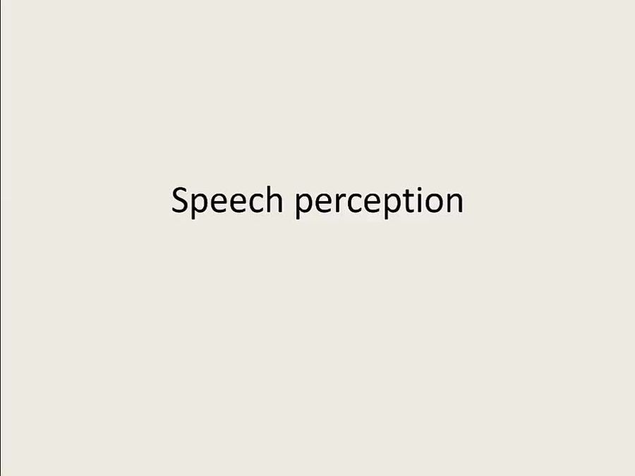 Speech perception in connected speech
