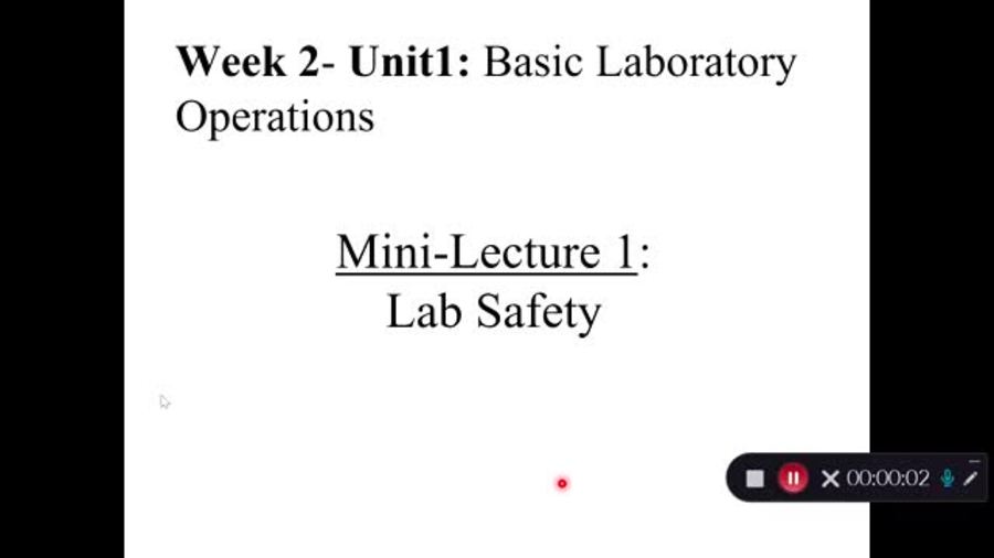 Week 2- Unit 1: Mini-Lecture 1