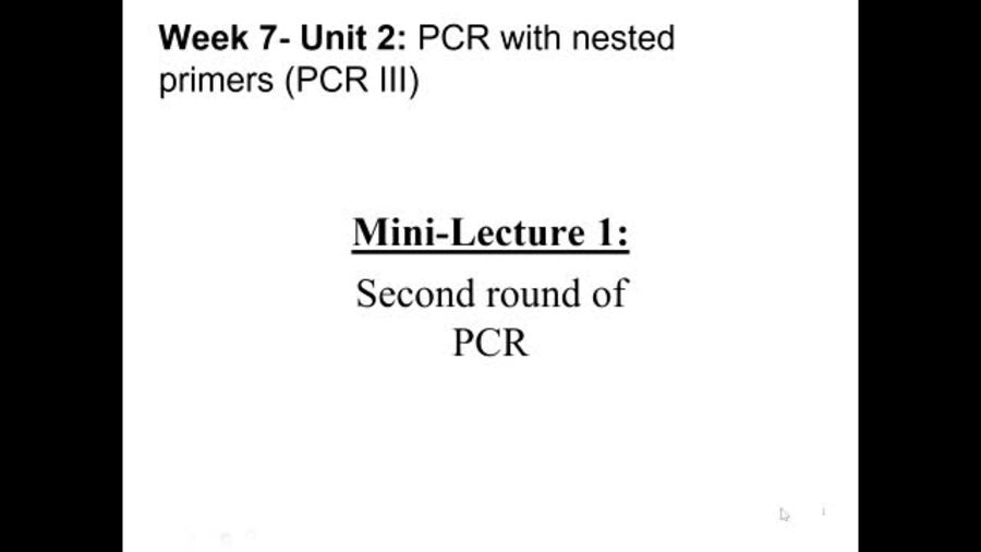 Mini-lecture 1_Second round of PCR with nested primers