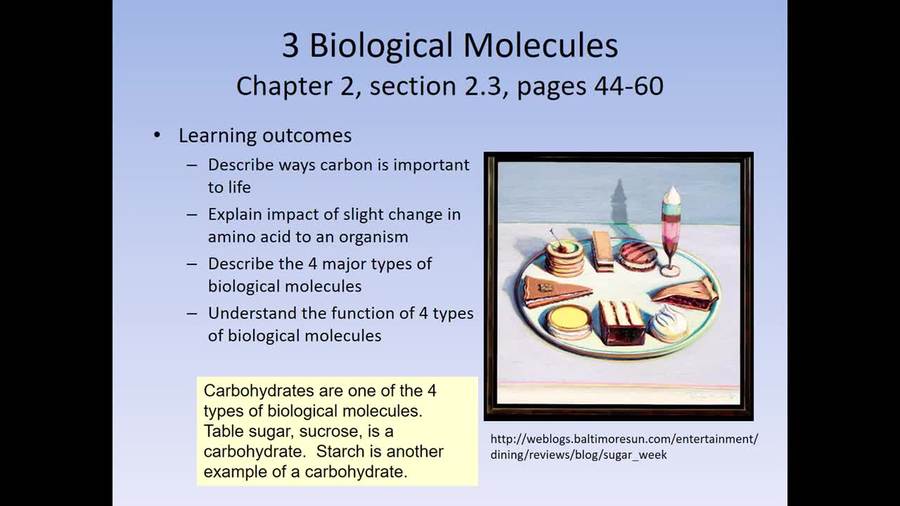 BIOL 105 2.5 Macromolecules, Carbohydrates
