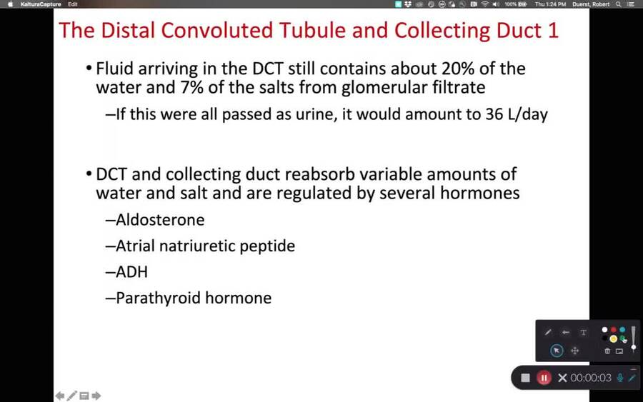 BIOL 314 Filtrate Processing in DCT and CD (Ch 23 Part 9)